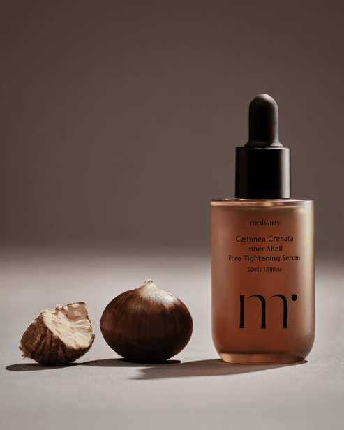 Molvany Castanea Crenata Inner Shell Pore Tightening Serum | Soko Glam