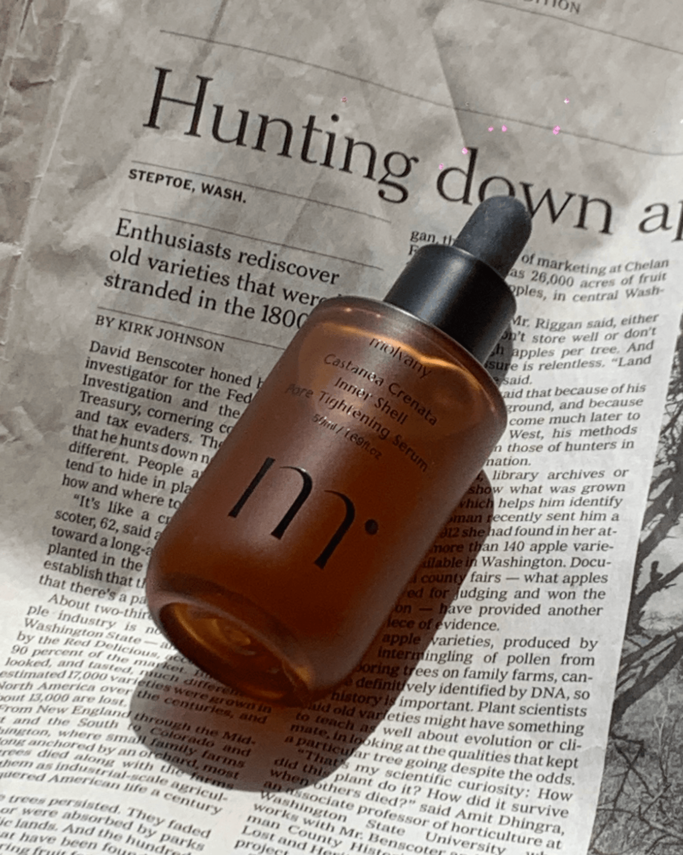 Molvany Castanea Crenata Inner Shell Pore Tightening Serum | Soko Glam