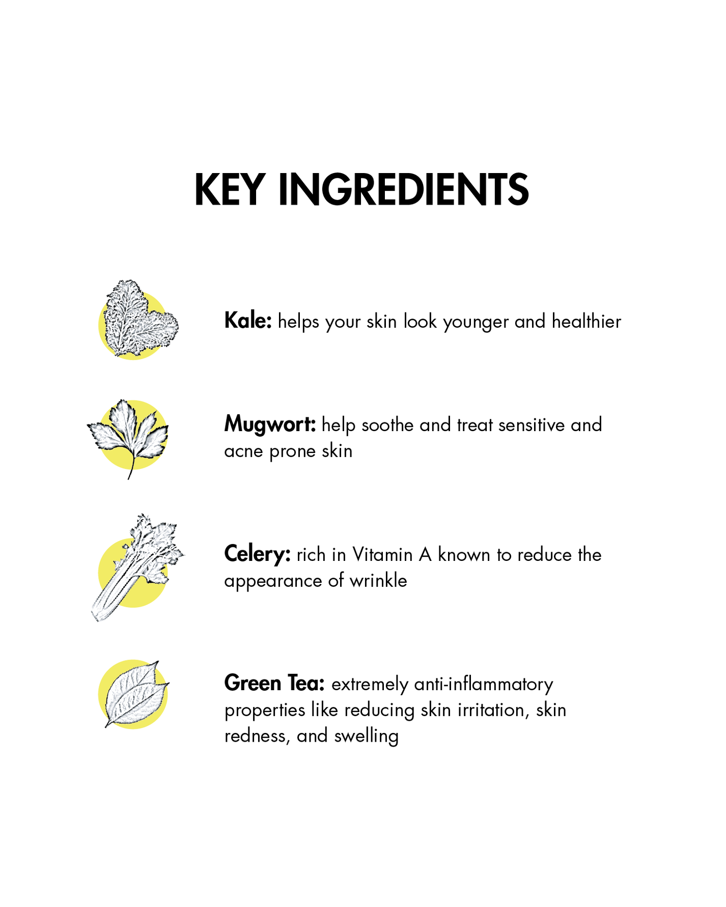 Good Days For All A New Leaf Cream Cleanser | Soko Glam